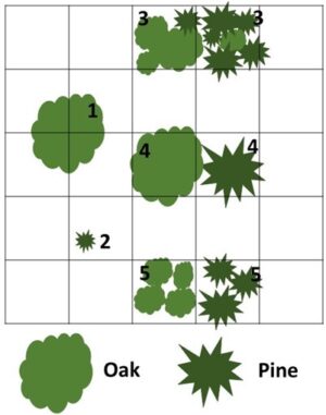 Species classification of forests - CREODIAS
