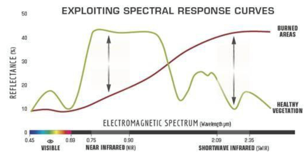 CREODIAS for emergency fire management - CREODIAS
